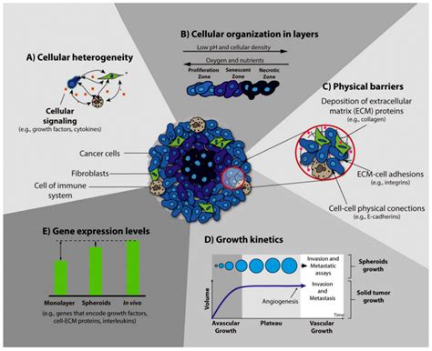 Multicellular Tumor Spheroids Archives Facellitate