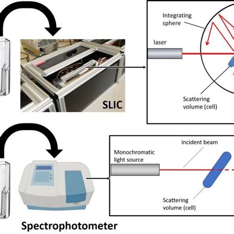 Brief Schematic Of The Laboratory Workflow Common To Both The Use Of A Download Scientific