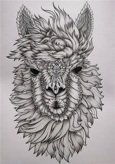 راپید 100هنر