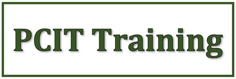 Pcit Training Pcit And Pc Care