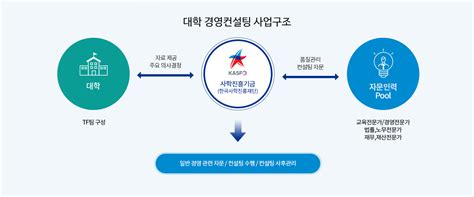 대학 경영컨설팅 사업