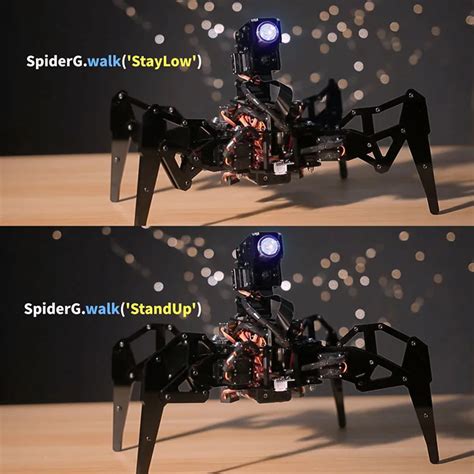 Stem Quadruped Spider Raspberry Pi Robot Python Programming Mobile App Control Large Probe Robot