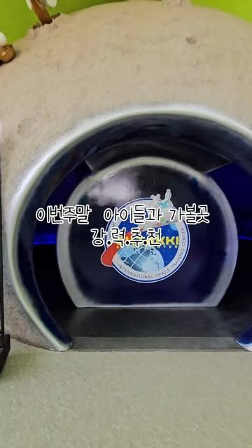 유니어스yoonigeniuscurious 🧼 『철 수세미와 안수타이』 서평단 리뷰 나를 있는 그대로 사랑할 수 있을까” 외모 콤플렉스를 극복하고 자기