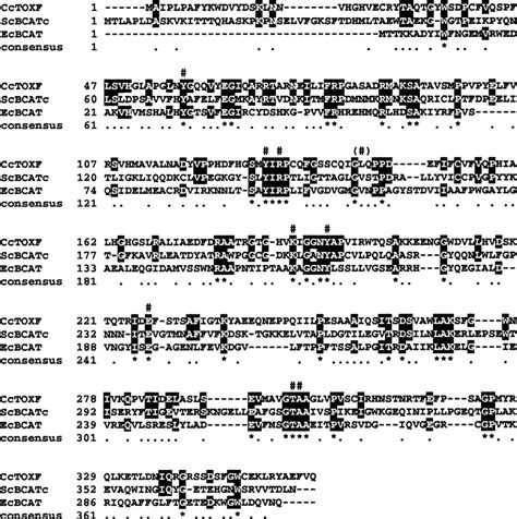 Sequence Alignment Of Toxfp With Bcats From Other Organisms Alignment