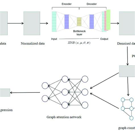 Normalized Mutual Information Nmi Score Under Different Datasets
