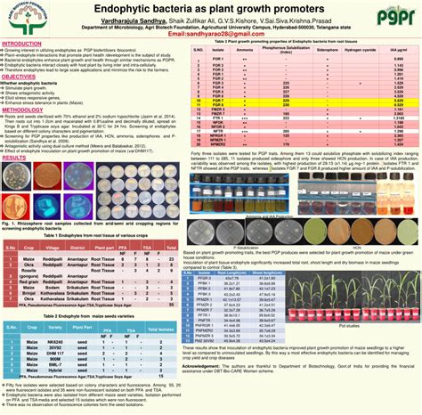 Pdf Endophytic Bacteria As Plant Growth Promoters
