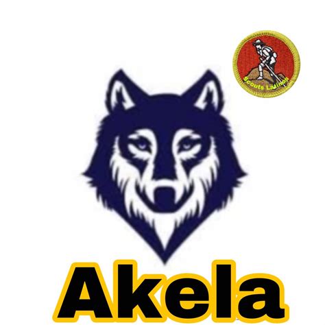 Scouts Latinos Akela