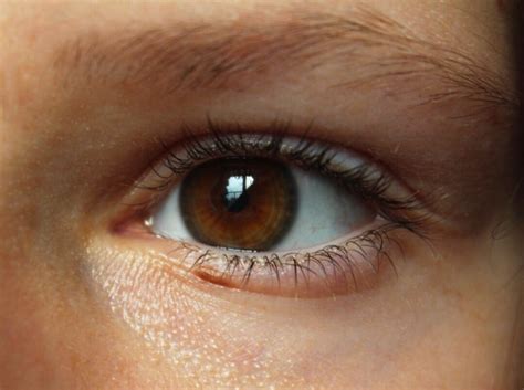 Hazelnut Eye Colour At Gail Pagano Blog