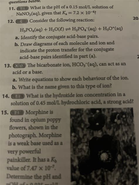 Hco3 Lewis Structure How To Draw The Lewis Structure For 55 Off