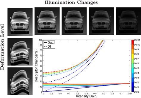 Invariance Of The Dali And Di Descriptors To Non Rigid Deformations And Download Scientific