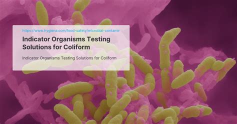 Indicator Organisms Testing Solutions For Coliform Hygiena