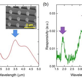 MWIR InAsSb Nanowire Detectors On InP Substrates A Reflectance Download Scientific Diagram
