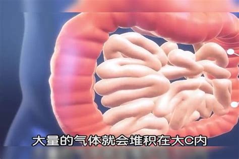 憋住不放的屁，都去哪了