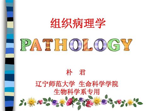 第一章 绪论组织损伤与修复word文档在线阅读与下载无忧文档