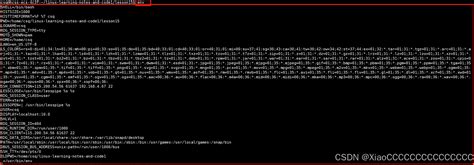 linux系统中的环境变量 命令行参数，path，通过代码获取环境变量，本地变量 获取本地环境变量命令 csdn博客
