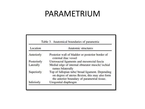Target Delineation Of Parametrium Pptx