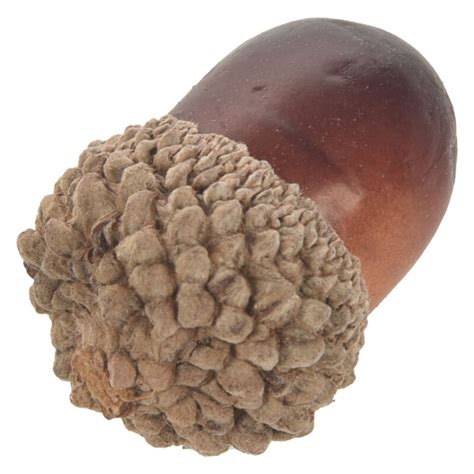 Lber 20pcs Kunstmatige Eikels Voor Herfst Display Vicedeal