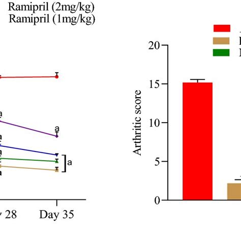 Impact Of Different Doses Of Ramipril 1 2 And 4 Mgkg And