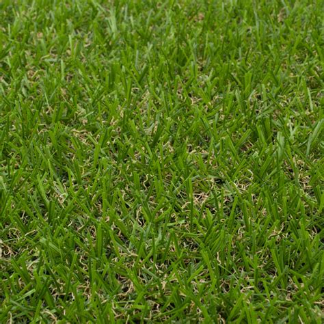 Grasshopper 19mm Artificial Grass Buy Artificial Grass Online