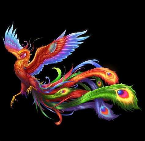 Phoenix Bird Artwork