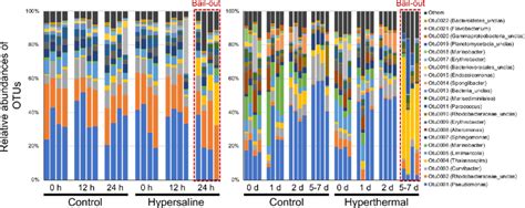 OTU Composition In P Acuta In The Hypersaline Left And Hyperthermal Download Scientific