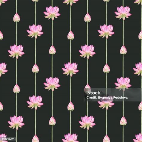 핑크 연꽃과 나뭇잎 어두운 배경에 수채화 원활한 패턴입니다 중국 수련 직물 포장지 스크랩북 벽지 및 기타 품목용 개화기에 대한 스톡 벡터 아트 및 기타 이미지 Istock