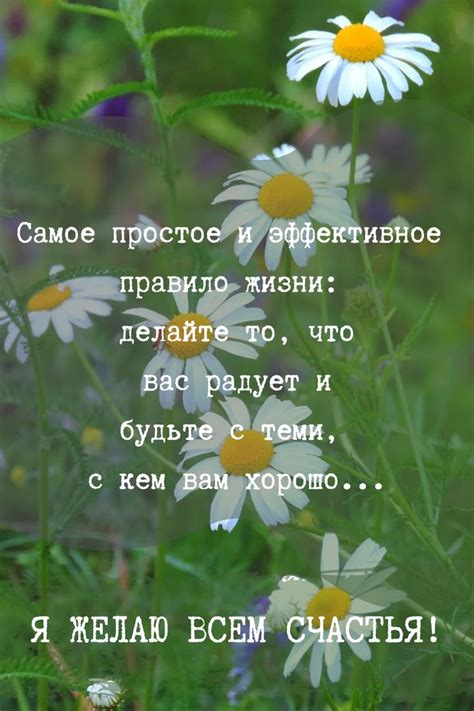 Цитаты высказывания выражения афоризмы крылатые фразы из книг про жизнь о любви мотивационные