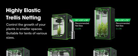 Amazon Com VIVOSUN X Ft Elastic Trellis Netting With Hooks For Climbing Plants