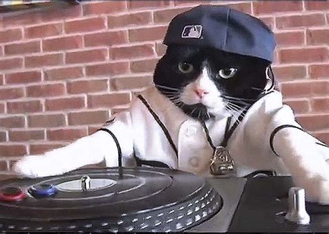 To Scratch Or Not To Scratch Techniques And Tips At Digital Dj Pool