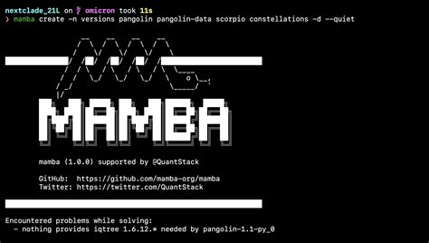 Do Not Show Mamba Ascii Art Banner When ` Q` If ` Q` Is Passed · Issue 2089 · Mamba Org Mamba