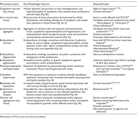 Table 1 From An Introduction To Lesions And Histology Of Scleractinian Corals Semantic Scholar