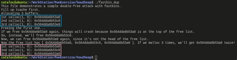 堆基础04：how2heap入门篇 cataloc s blog