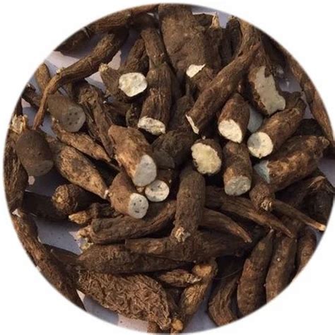 Aitees Aconite Root At ₹ 9000kilogram Soura Srinagar Id 14117094312