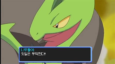 모두의 마음을 울린 나무돌이 Youtube