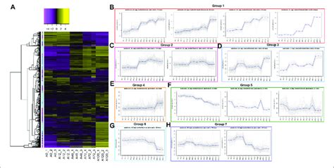 Clustering Of All Differentially Expressed Circrnas And Mrnas A