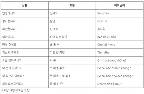 깜언 깜언뜻 신깜언뜻 베트남 여행 필수 베트남어 정리 해외 여행 준비물 체크리스트 Ai