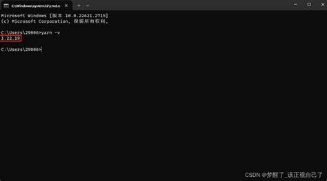 Nodejs、nvm、npm、yarn、pnpm的安装和使用npm 安装指定版本pnpm Csdn博客
