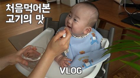 Vlog 이유식 만들고 먹이는 육아 브이로그 쌀미음 소고기 미음 큐브 이유식 시작 6개월 아기 Youtube