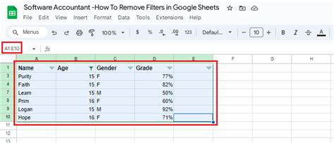 How To Remove Filters In Google Sheets Software Accountant