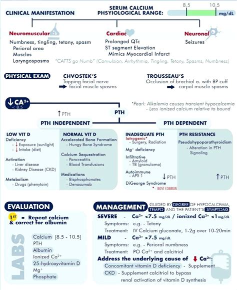 Hypocalcaemia How To Prevent And Manage It Dr Jyothi Jetti Pharm D