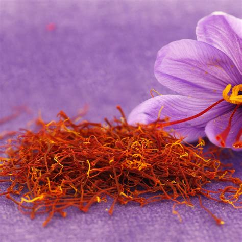 Saffron Crocus Growing Information Green Harvest