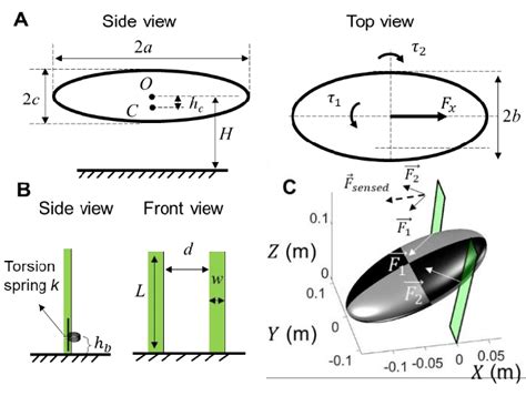Physics Model Of Robot Beam Interaction A Cockroachinspired Robot Is Download Scientific