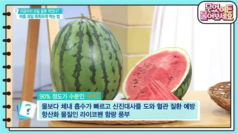 90 정도가 수분인 수박🍉 ‘여름 과일의 제왕 수박 똑똑하게 먹는 방법 알아보기👍 무엇이든 물어보세요 Kbs 230712 방송 Youtube