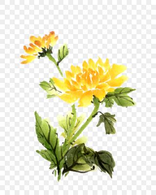 水墨菊花古风装饰画素材免费下载 觅知网