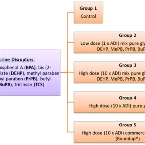 Groups Of Administration Substances Doses Adi Acceptable Daily Intake Download Scientific
