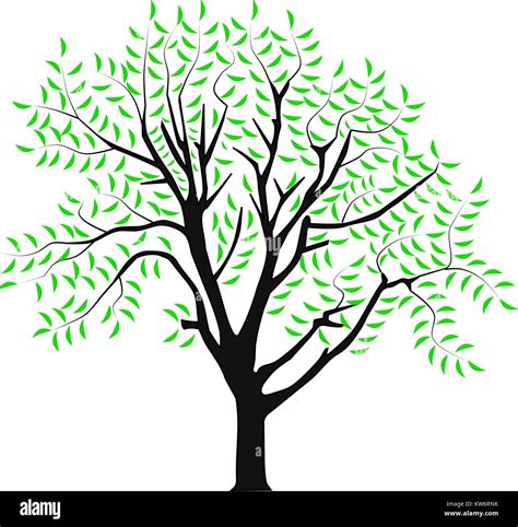 Branching Tree Stock Vector Images Alamy