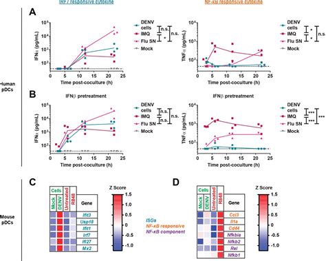 Figures And Data In Plasmacytoid Dendritic Cells Control Dengue And Chikungunya Virus Infections