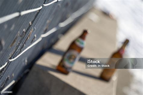 회색 화강암 돌로 채워진 강철 막대로 만든 돌망태 울타리 맥주병이 있는 공원 벤치 대각선보기 독일의 겨울 0명에 대한 스톡 사진 및 기타 이미지 Istock