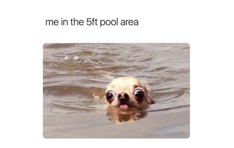 A You A Short King Heres 32 Short Men Memes For All The Vertically