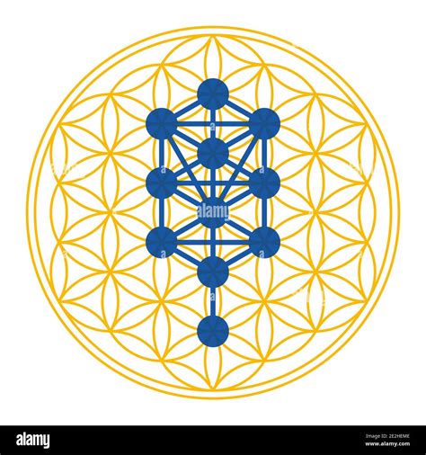 Tree Of Life Symbol Derived From The Tree Of Life Diagram Used In Mystical Traditions Such As